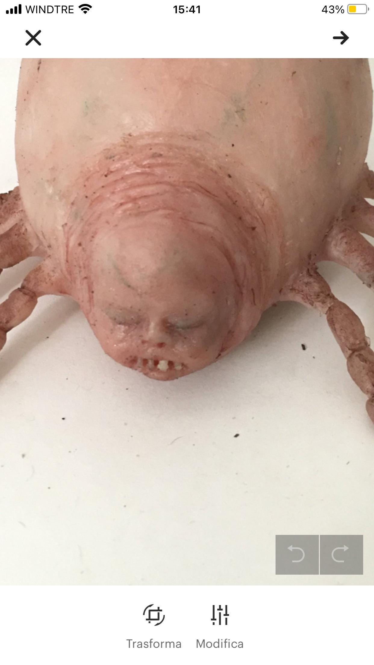 Baby Zecca Miniature Hand-sculpted in Acetic Silicone | Realistic and ...