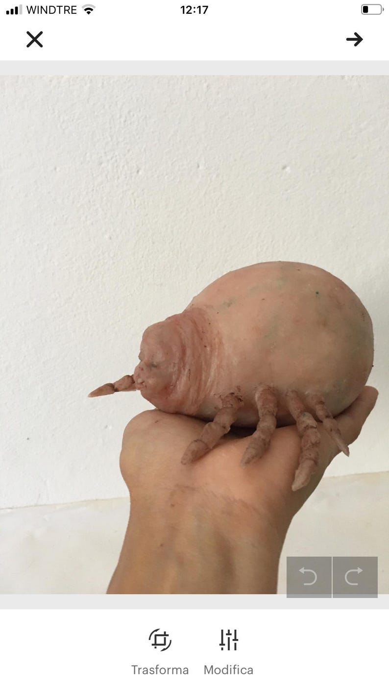 Baby Zecca Miniature Hand-sculpted in Acetic Silicone | Realistic and ...