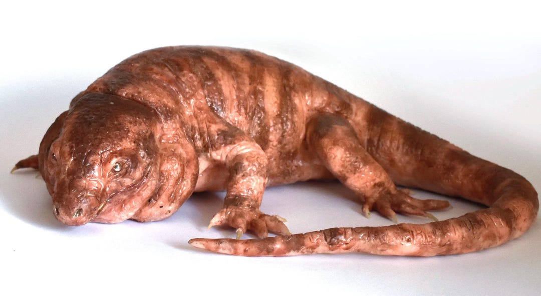 Hand-carved Lizzy the Lizard Chile Red Tegu Sculpture - Etsy
