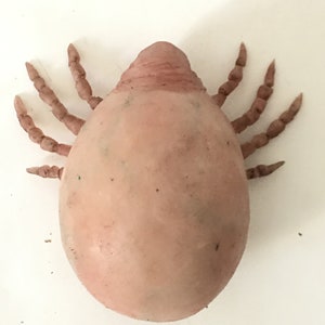 Baby Zecca Miniature Hand-sculpted in Acetic Silicone | Realistic and ...