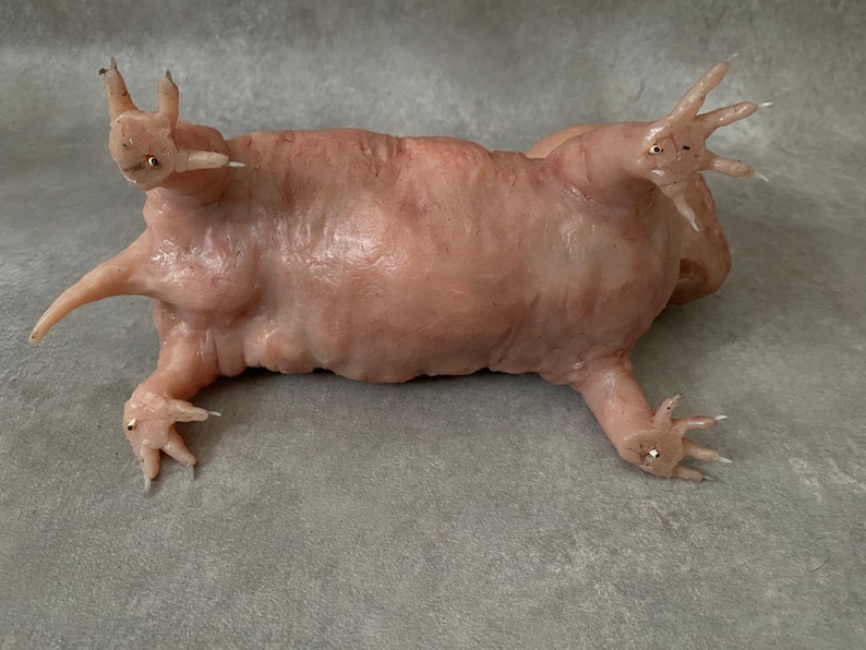 Silicone Sculpture – Alien Pet Friend - Etsy
