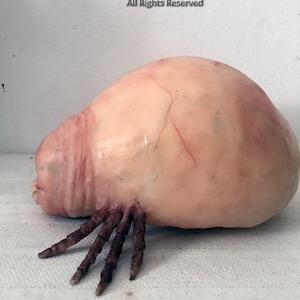 Baby Zecca Miniature Hand-sculpted in Acetic Silicone | Realistic and ...