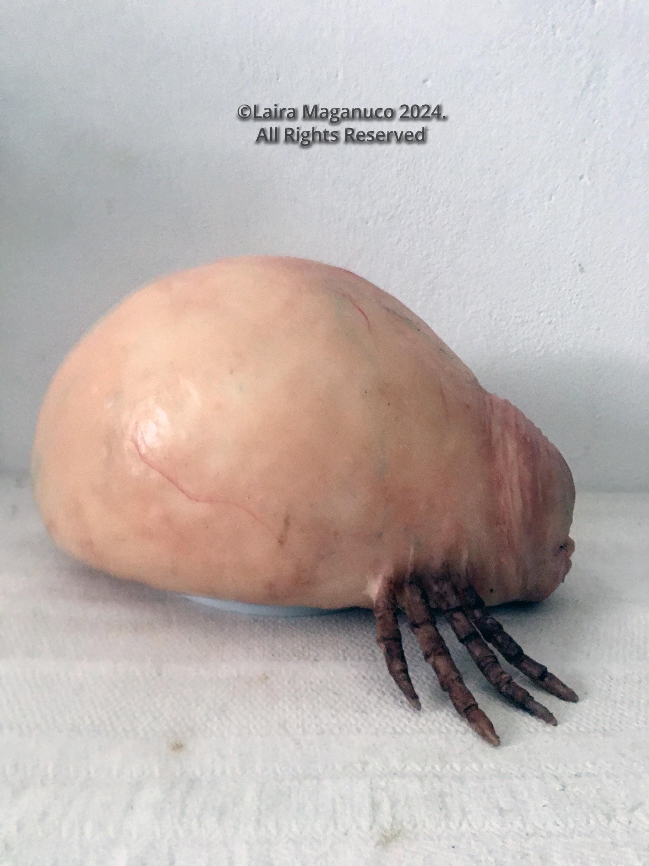 Baby Zecca Miniature Hand-sculpted in Acetic Silicone | Realistic and ...