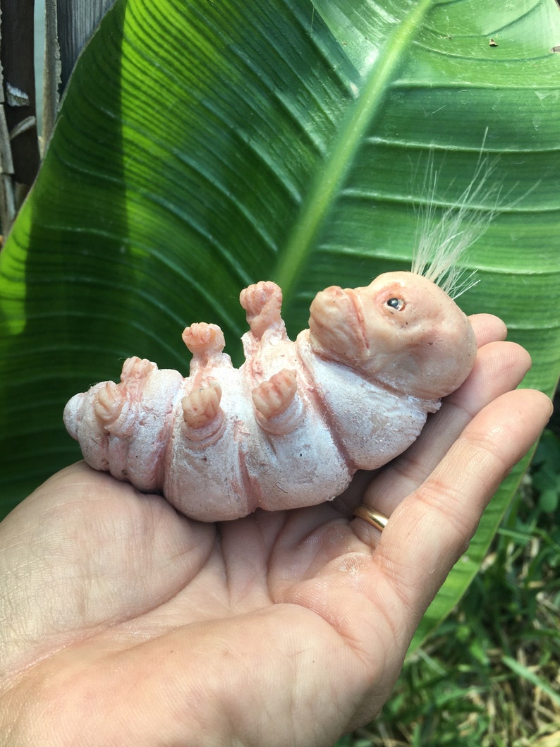 Handcrafted Mutant Larva Silicone Sculpture | Realistic Platinum ...