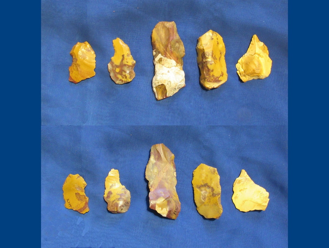 Five Neanderthal Flake Tools #2354 - Etsy