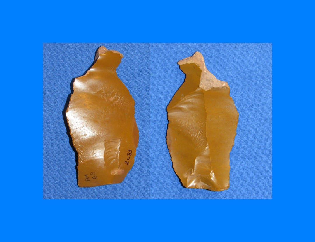 Neanderthal Multi Tool On An Irregular Levallois Flake 2683 Etsy