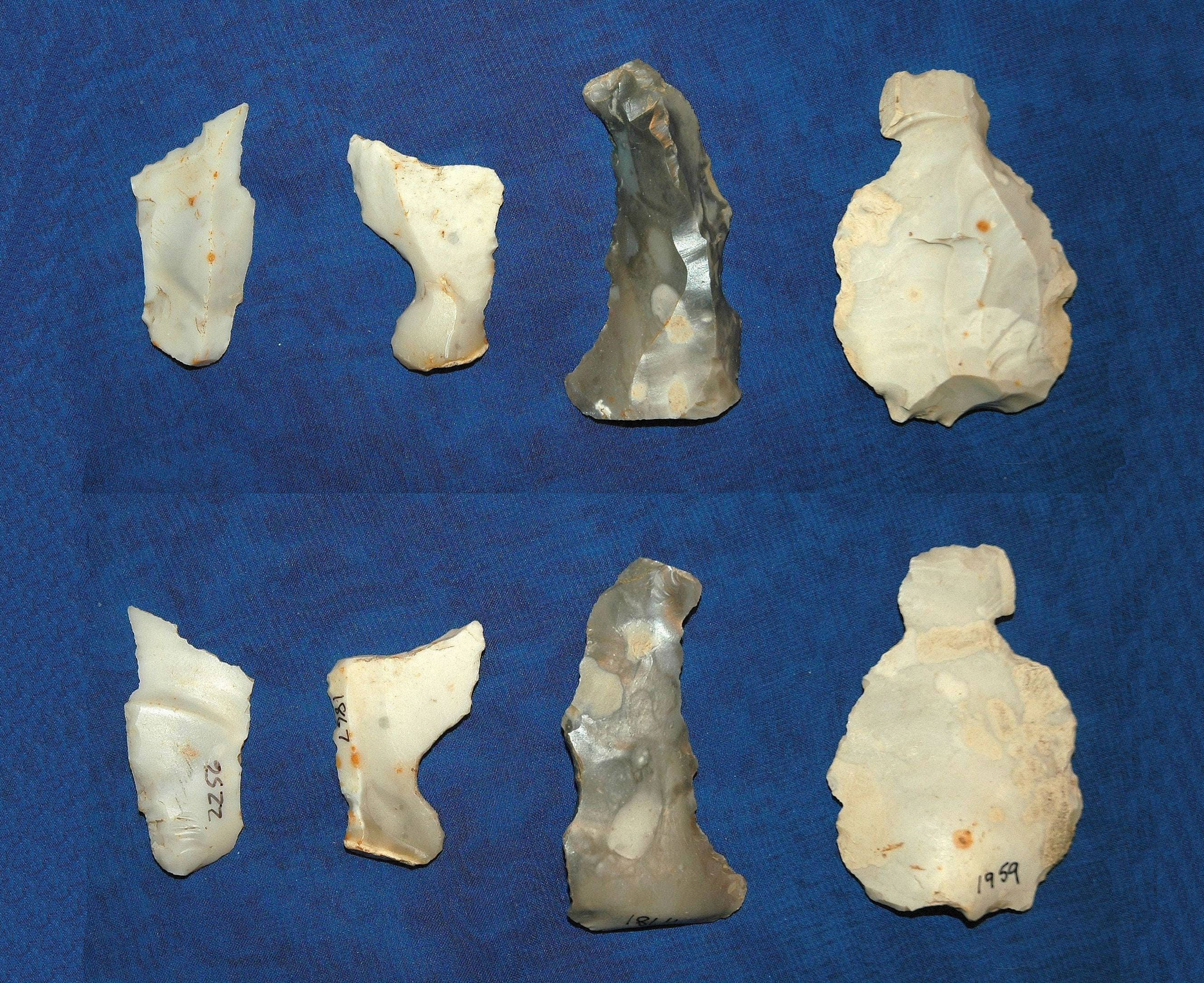 Mesolithic Tools