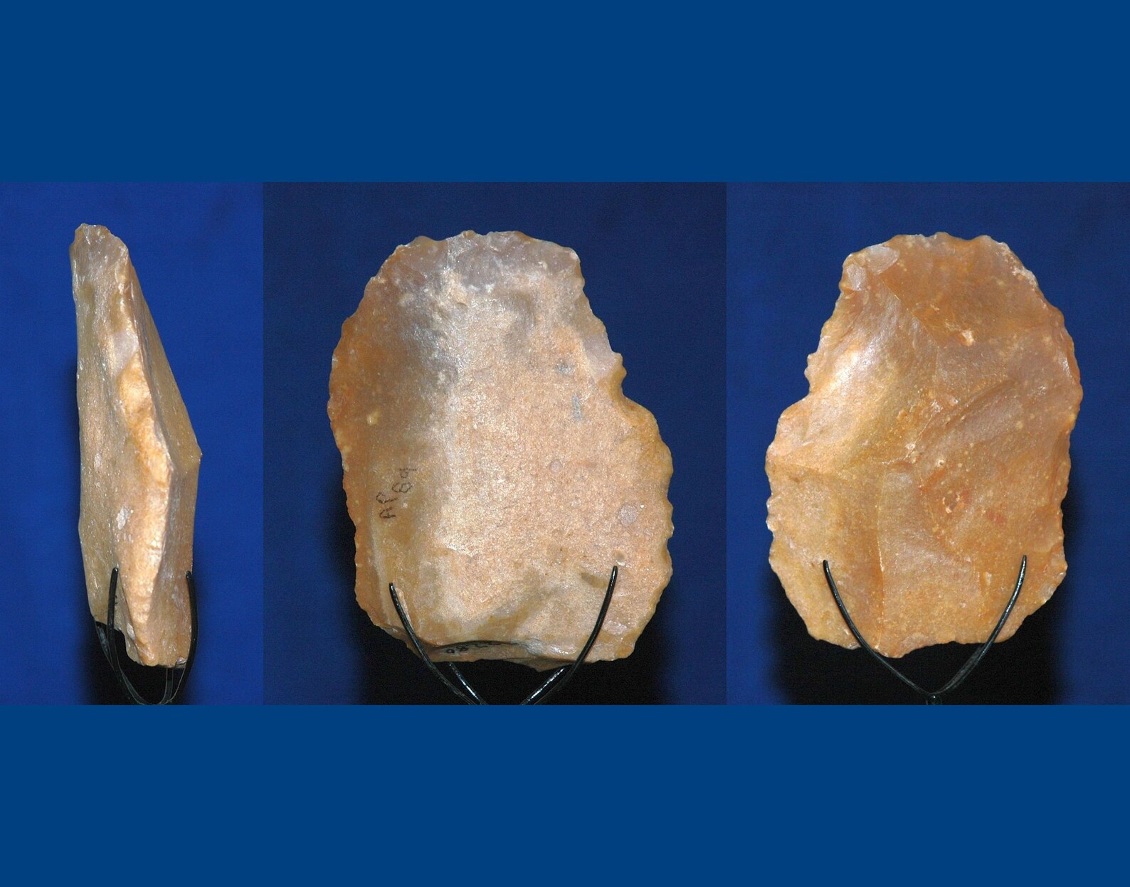 Neanderthal Multi-tool on Flake #2280 - Etsy