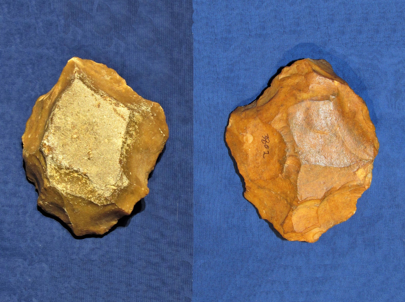 Middle Paleolithic Neanderthal Chopper on a Core #3802 - Etsy