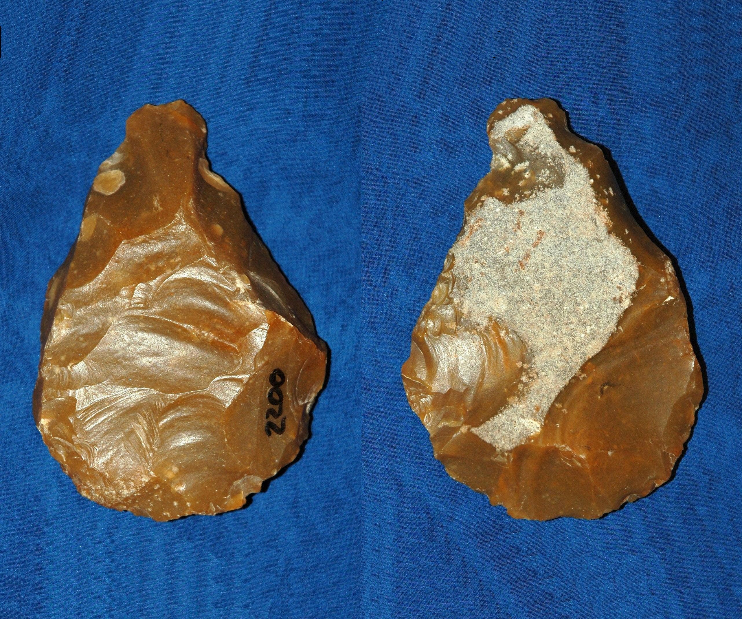 Neanderthal Pic #1478 Art Objects Sculpture Art & Collectibles etna.com.pe