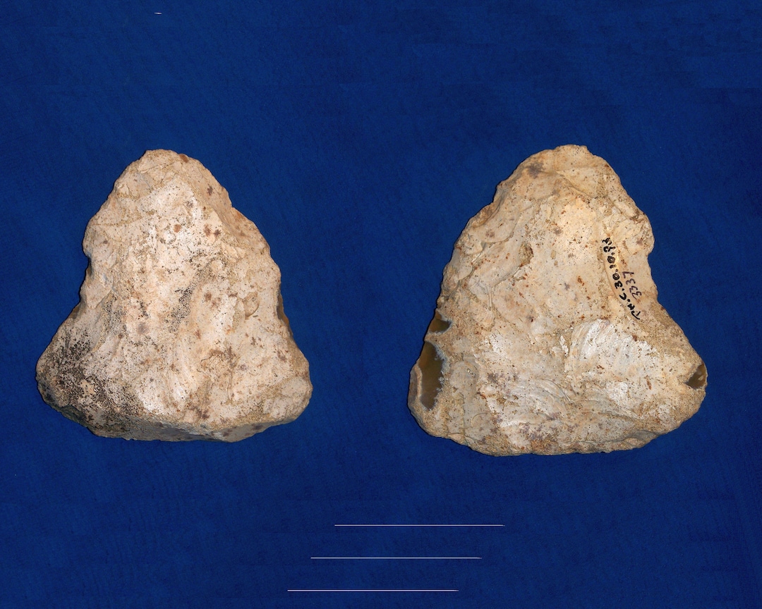 Neanderthal Biface Axe #3337 - Etsy