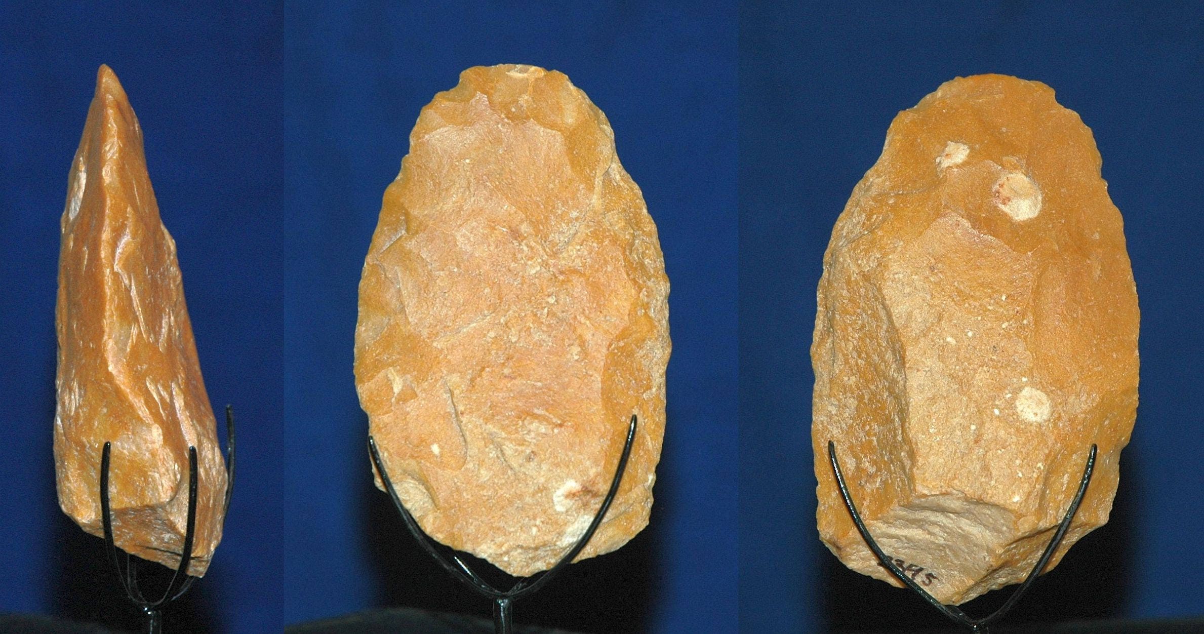 Neanderthal Pic #1478 Art Objects Sculpture Art & Collectibles etna.com.pe