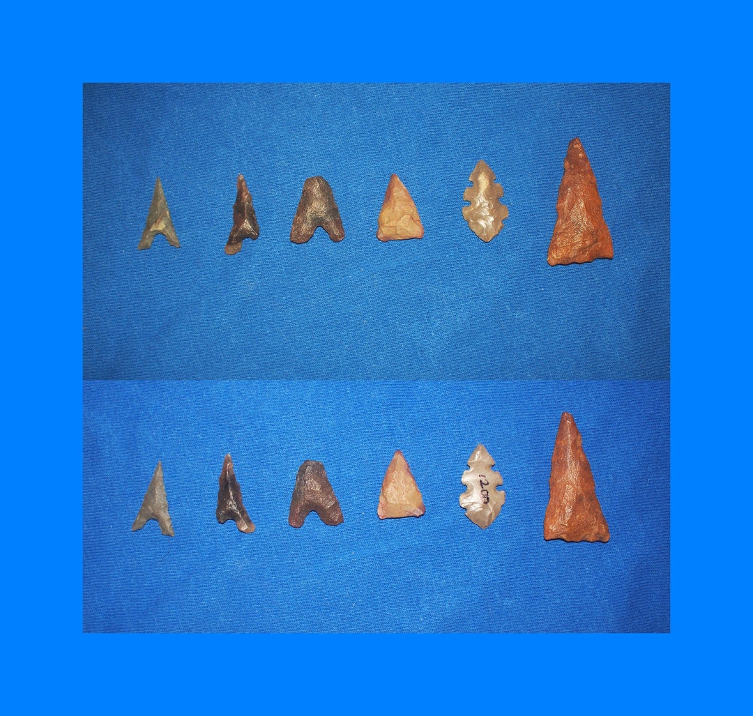 Six Sahara Neolithic "bird" Points #1200 - Etsy