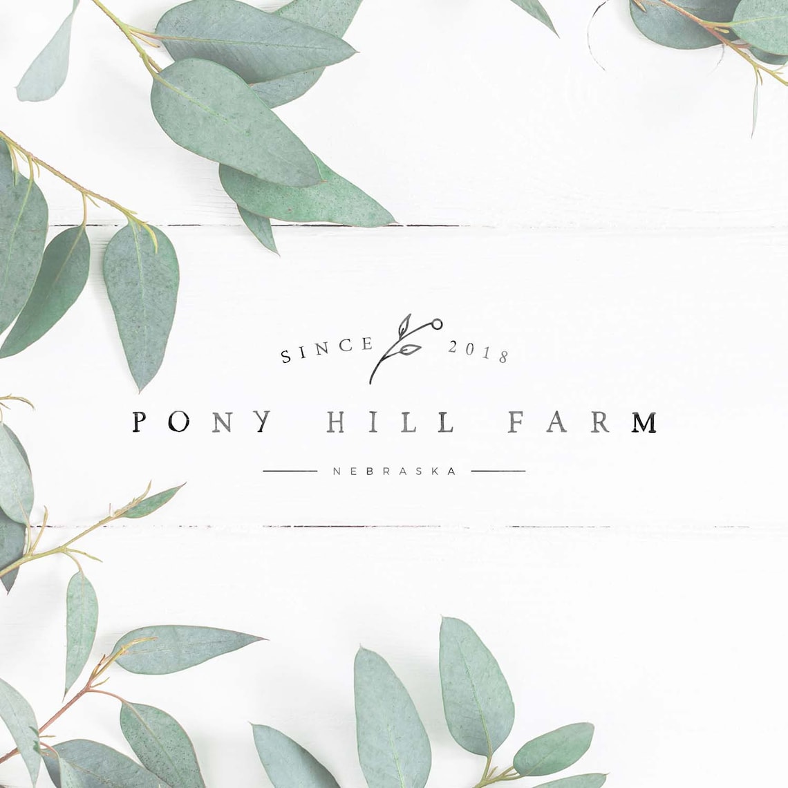 Premade Logo Design - Rustic Logo - Farm Logo Design - Farmhouse Logo ...
