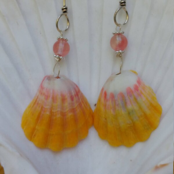 Rare Sunrise Shell - Etsy