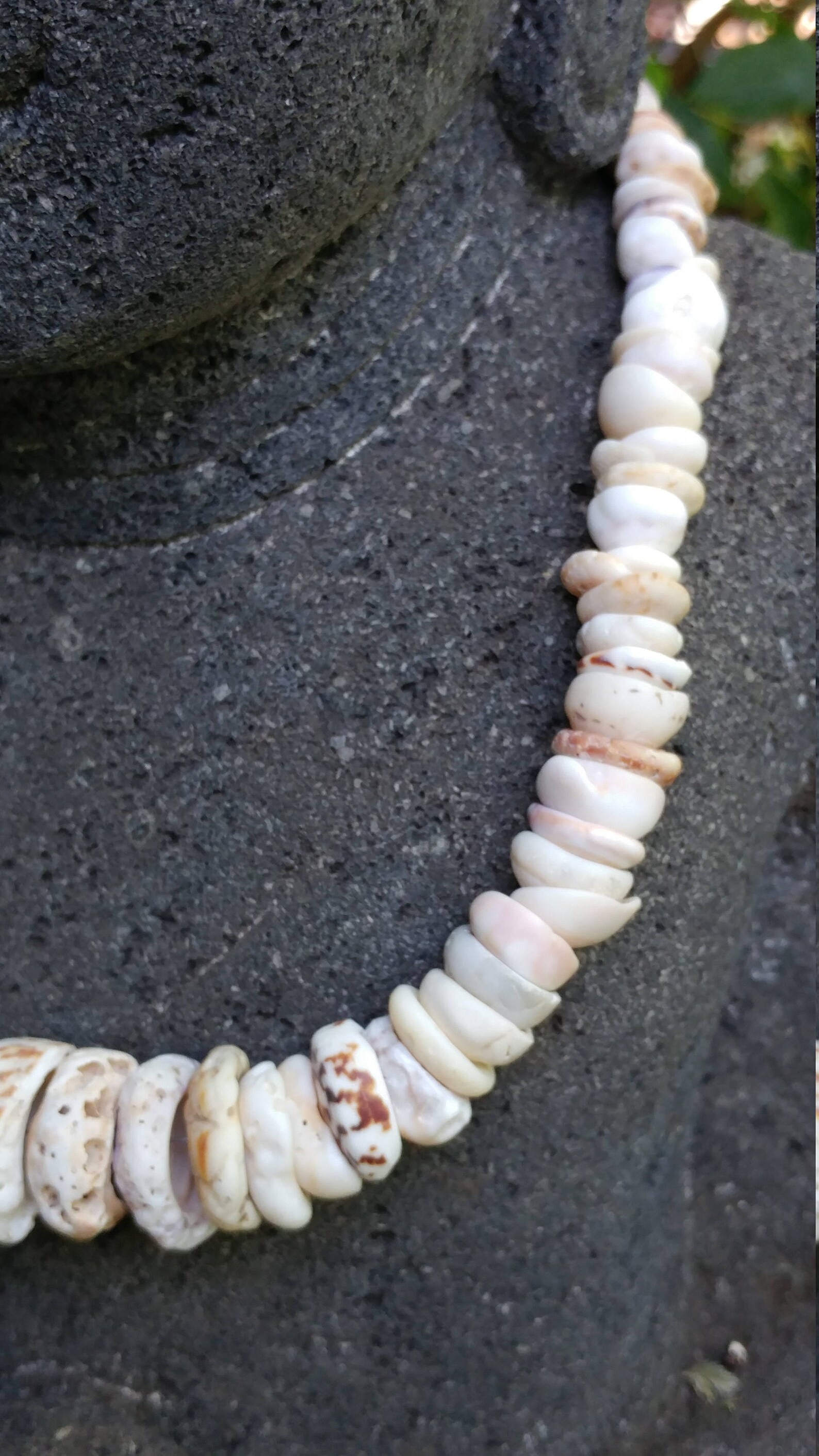 PUKA Shell Necklace From Maui - Etsy