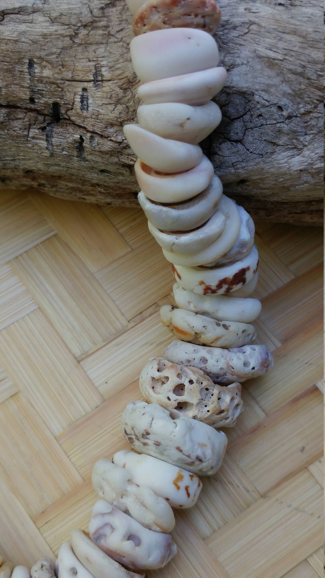 PUKA Shell Necklace From Maui - Etsy