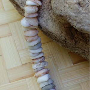 PUKA Shell Necklace From Maui - Etsy
