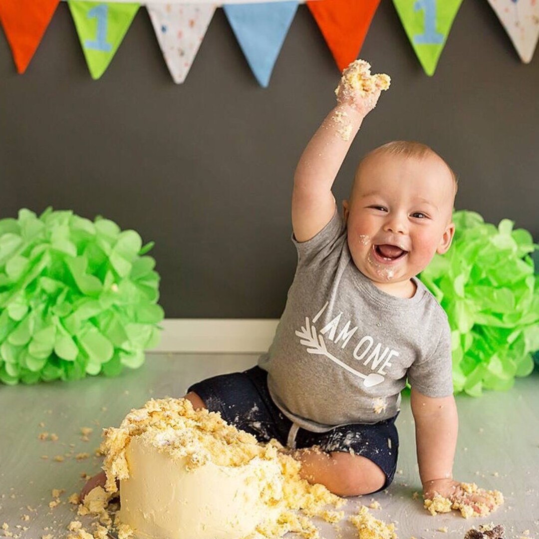 I Am One Birthday T-shirt, 1st Birthday Gift, First Birthday Tee, Boho ...