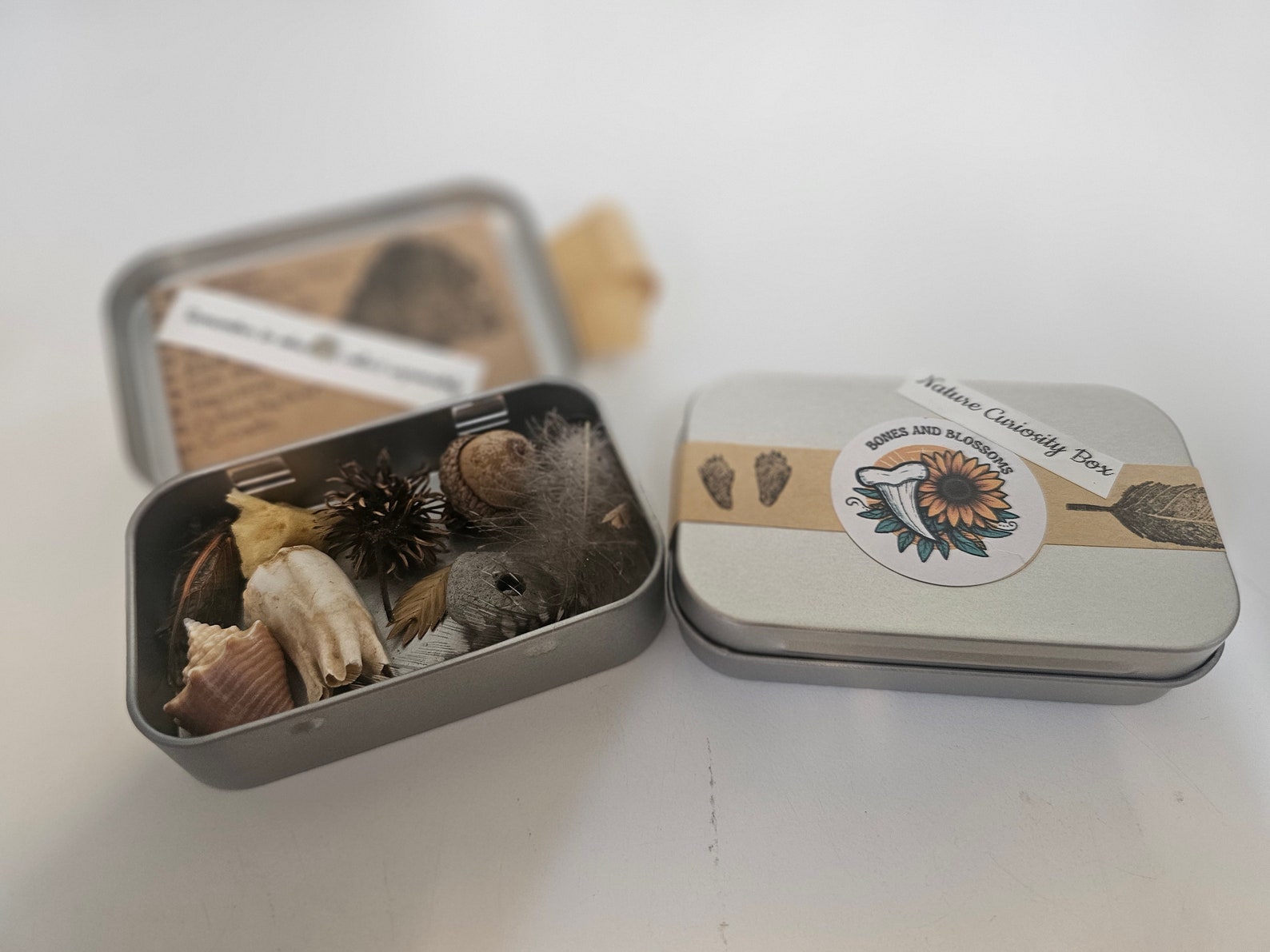 Nature Curiosity Boxes - Etsy