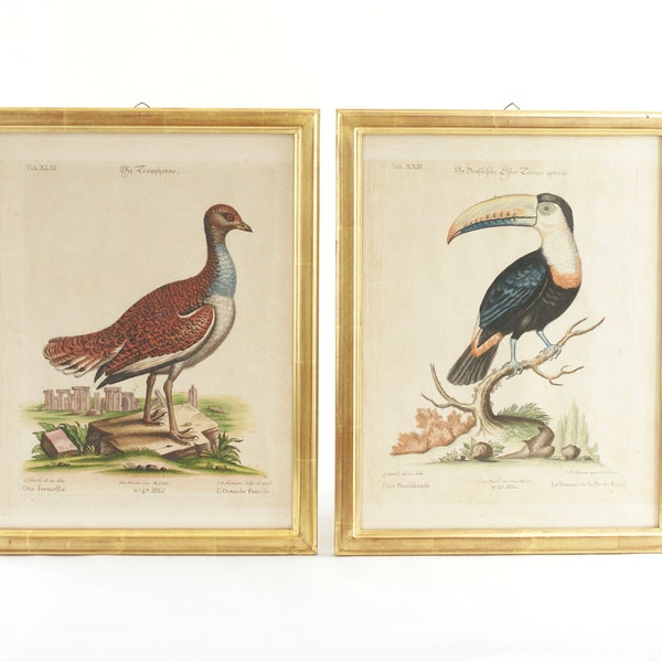 Bird Engraving - Etsy