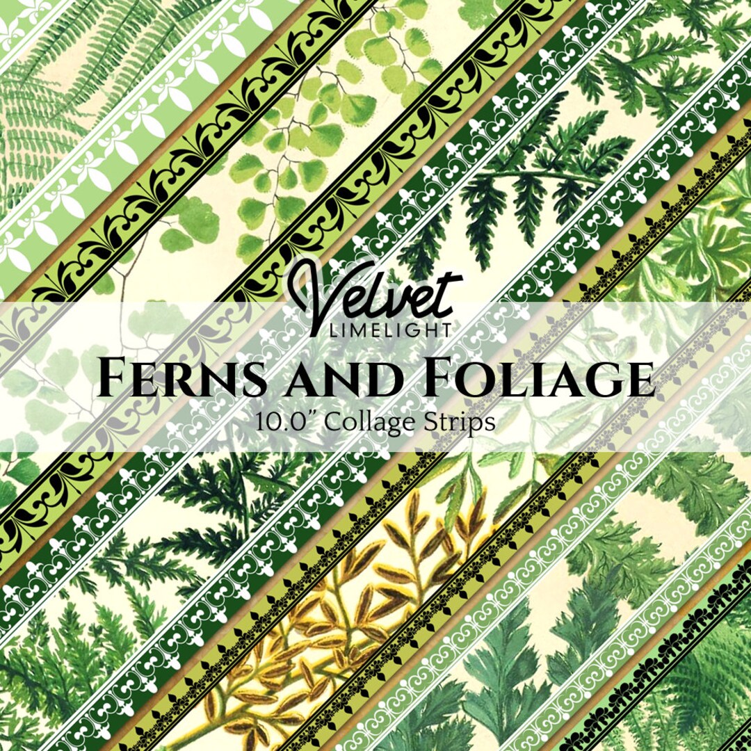 FERNS AND FOLIAGE Collage Strips Vintage Printable Botanical Garden ...