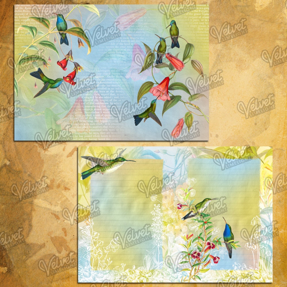 HUMMINGBIRD SUMMER 5X7 Journal Pages, Digital Download, Antique ...