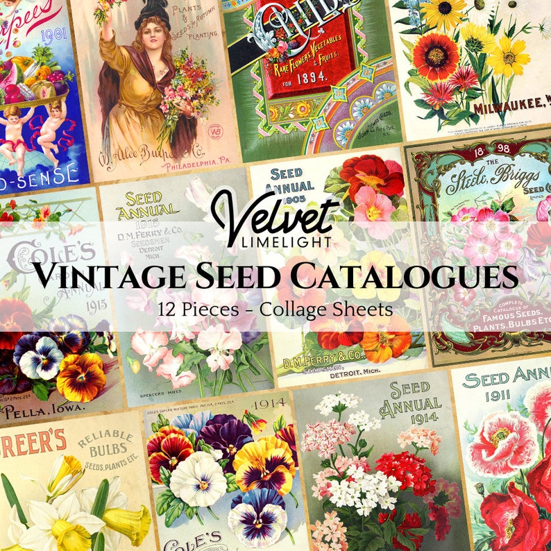 VINTAGE SEED CATALOGUES Set of 12 Covers Printable Floral Flowers ...