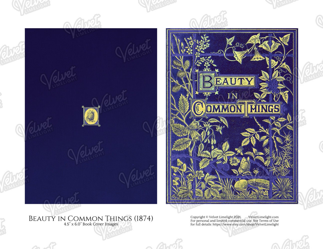 BEAUTY in COMMON THINGS (1874) Vintage Printable Book Cover Images ...