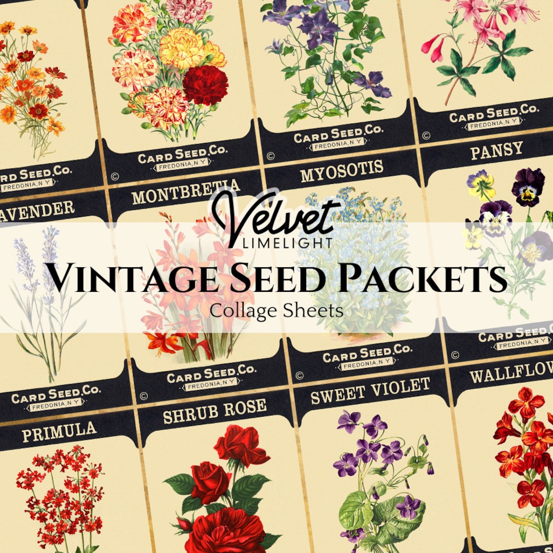 VINTAGE SEED PACKETS Set of 12 Vintage Printable Floral Flowers ...