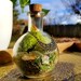 Energy Crystal Jar Terrarium Crystals Positive Energy Gifts for Friends ...