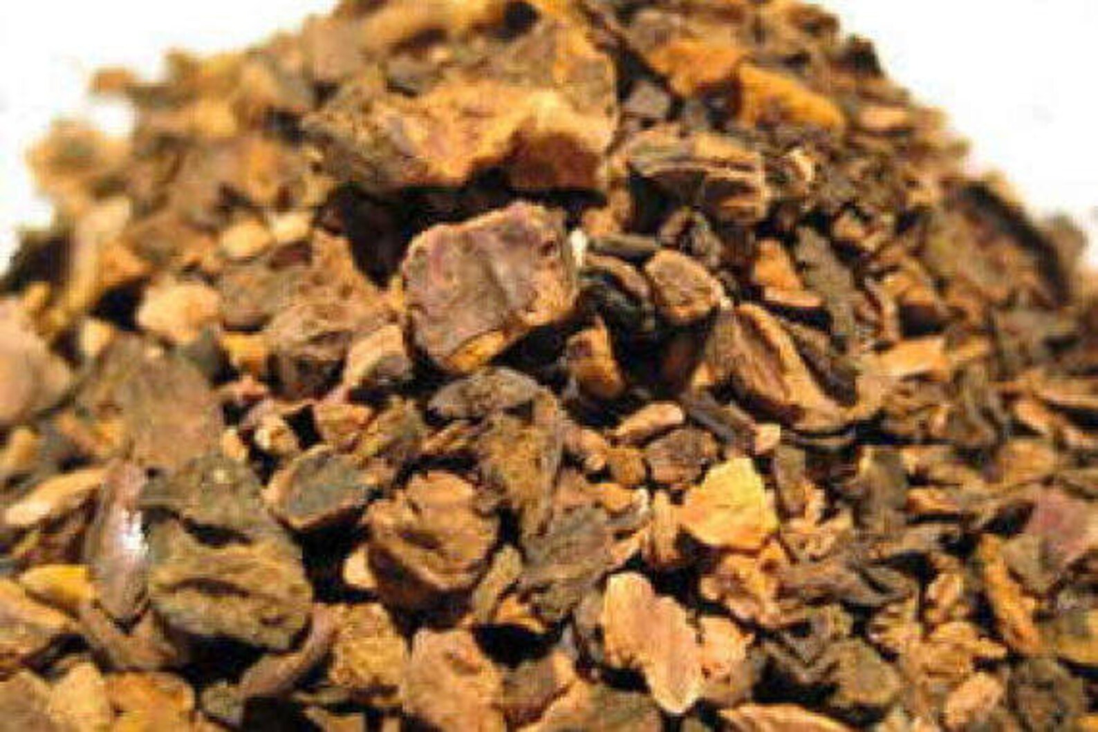 Himalayan Rhubarb Extract 250 Gram - Etsy