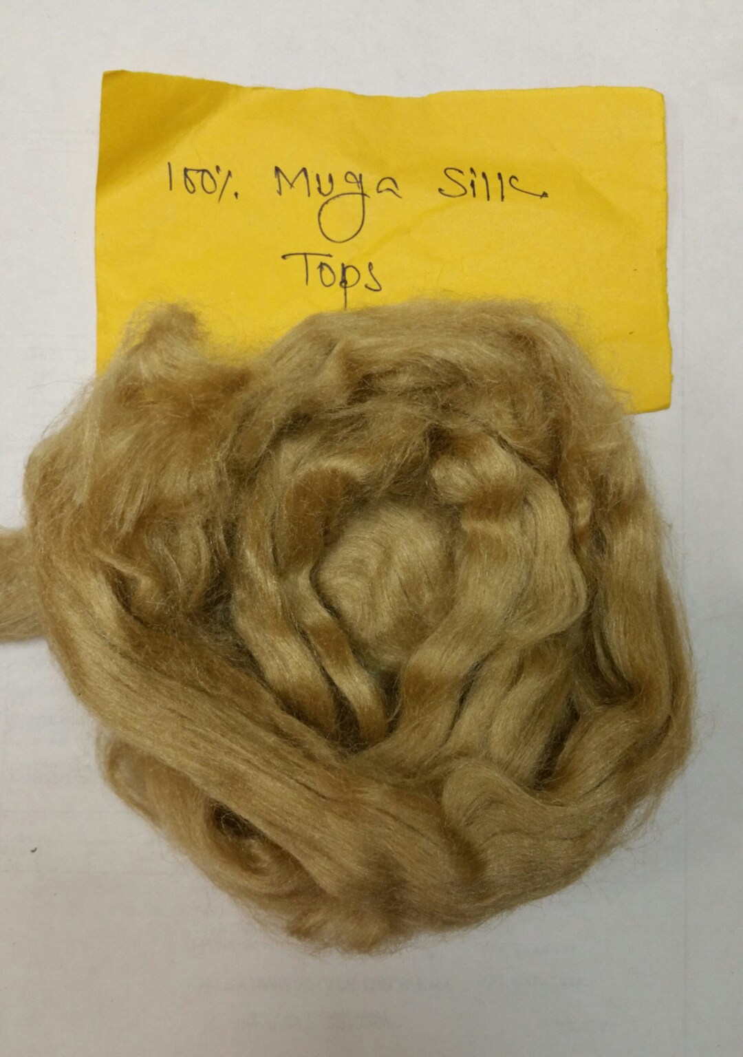 Muga Sliver Combed Natural Color Undyed 50 Gram - Etsy