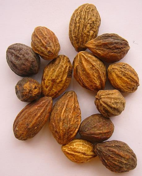 Myrobalan-(terminalia Chebula) Extract 50 Gram - Etsy