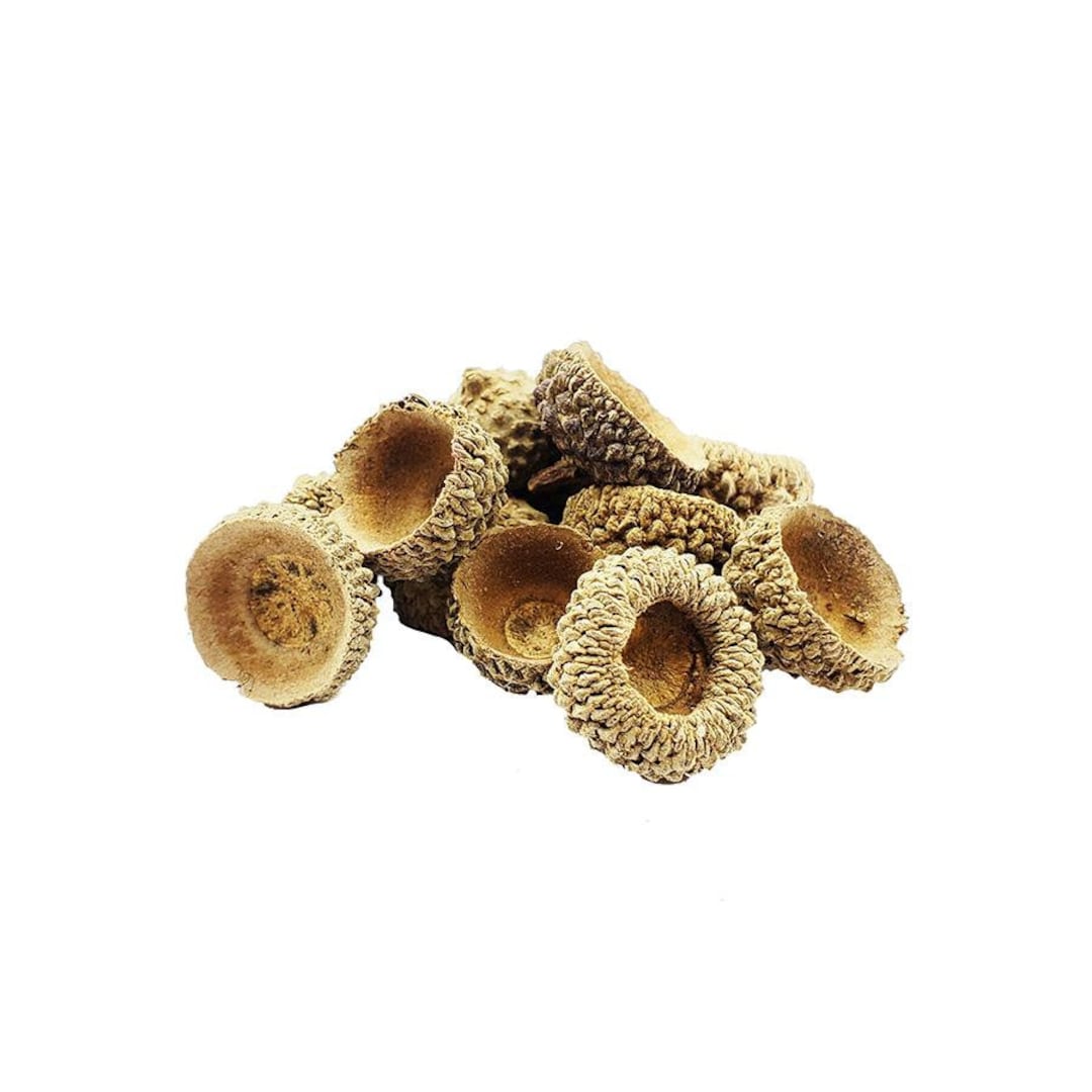 Oak Valonia Extract 500 Gram (oak Acorn Cups) - Etsy