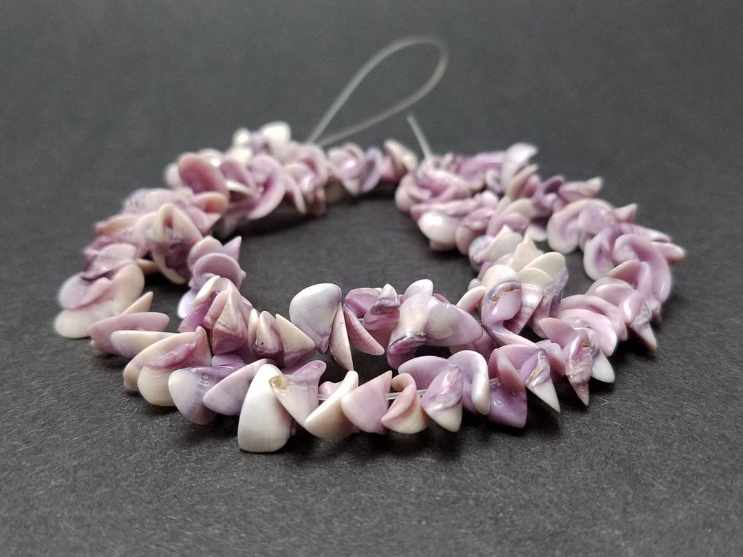 Periwinkle "mactan Lily" Lily Shell Heishi Beads (16 Inches Strand) - Etsy