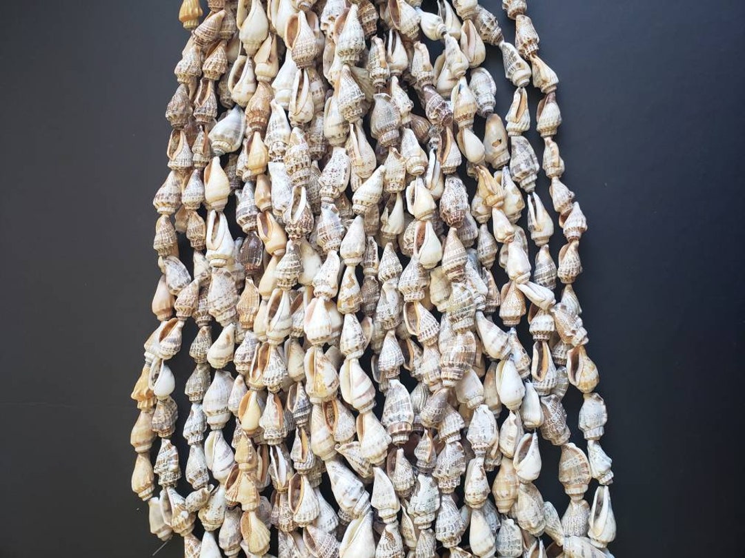 Aninicad Shell [16 Inches Strand] - Etsy