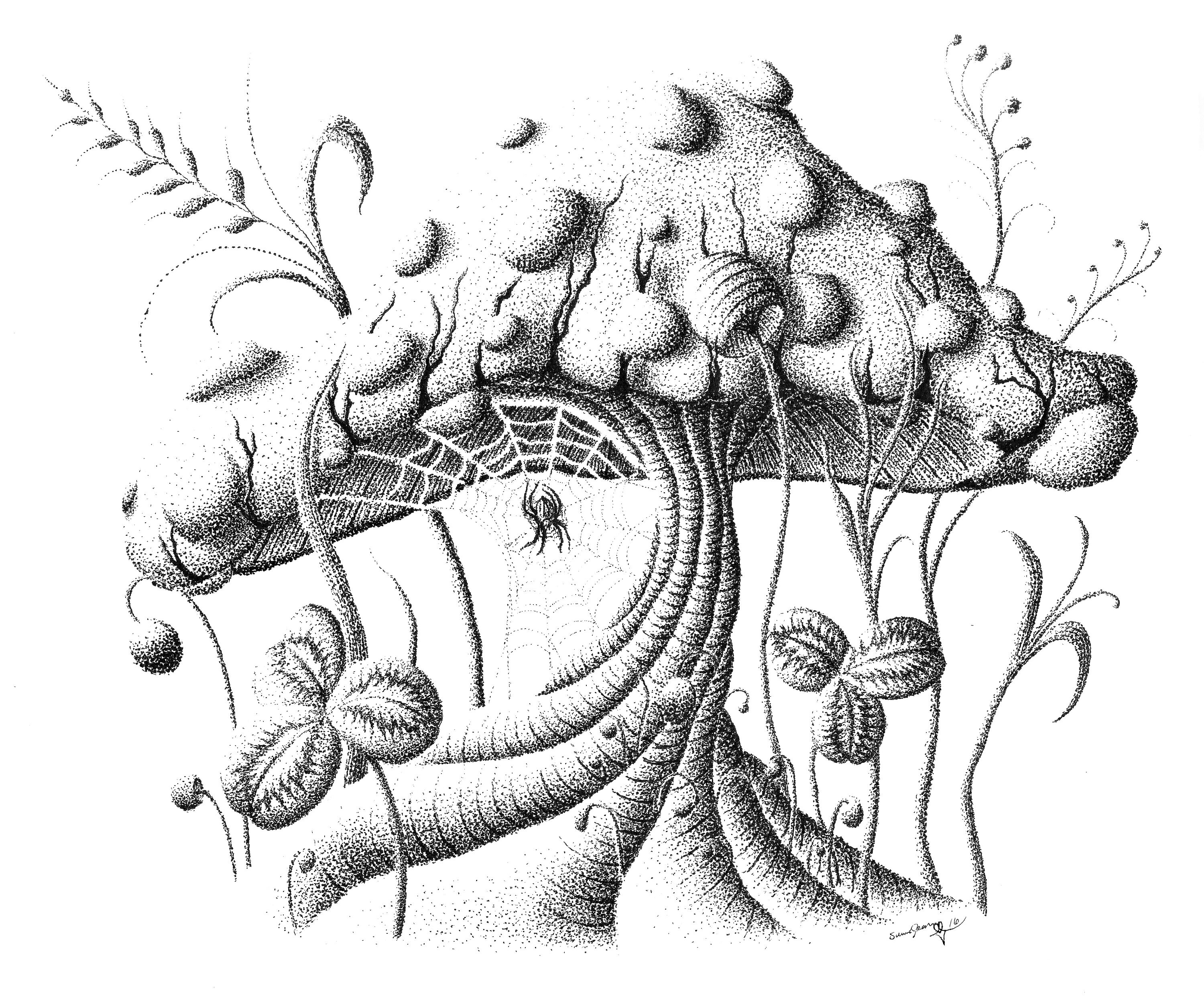 There Be Spiders in These Parts PRINT Monochromatic, Spiders, Mushrooms ...