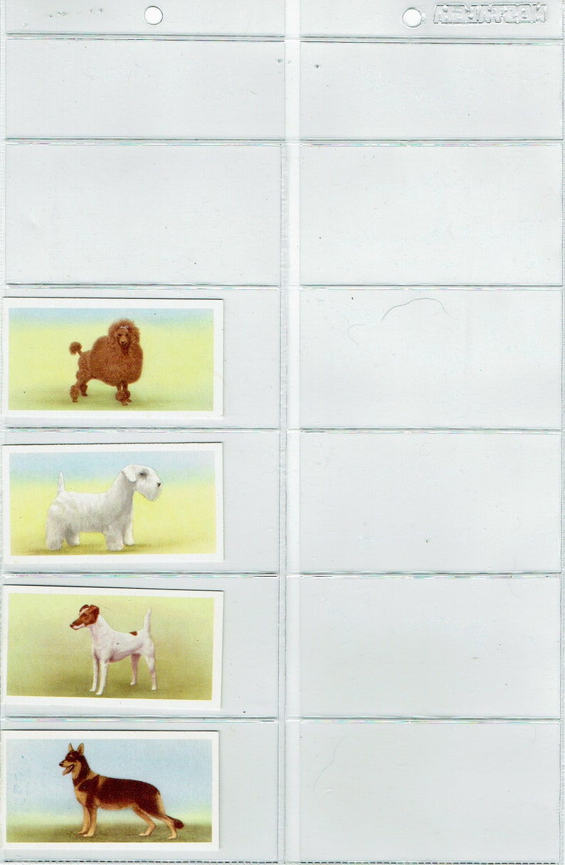 Priory Tea I-spy Dogs A Series of 24 Collectible Cards, Vintage 1957 - Etsy