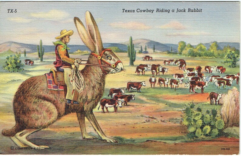 Vintage Post Cards: Lot of 5 Cowboy Westerns 1917 1945 - Etsy