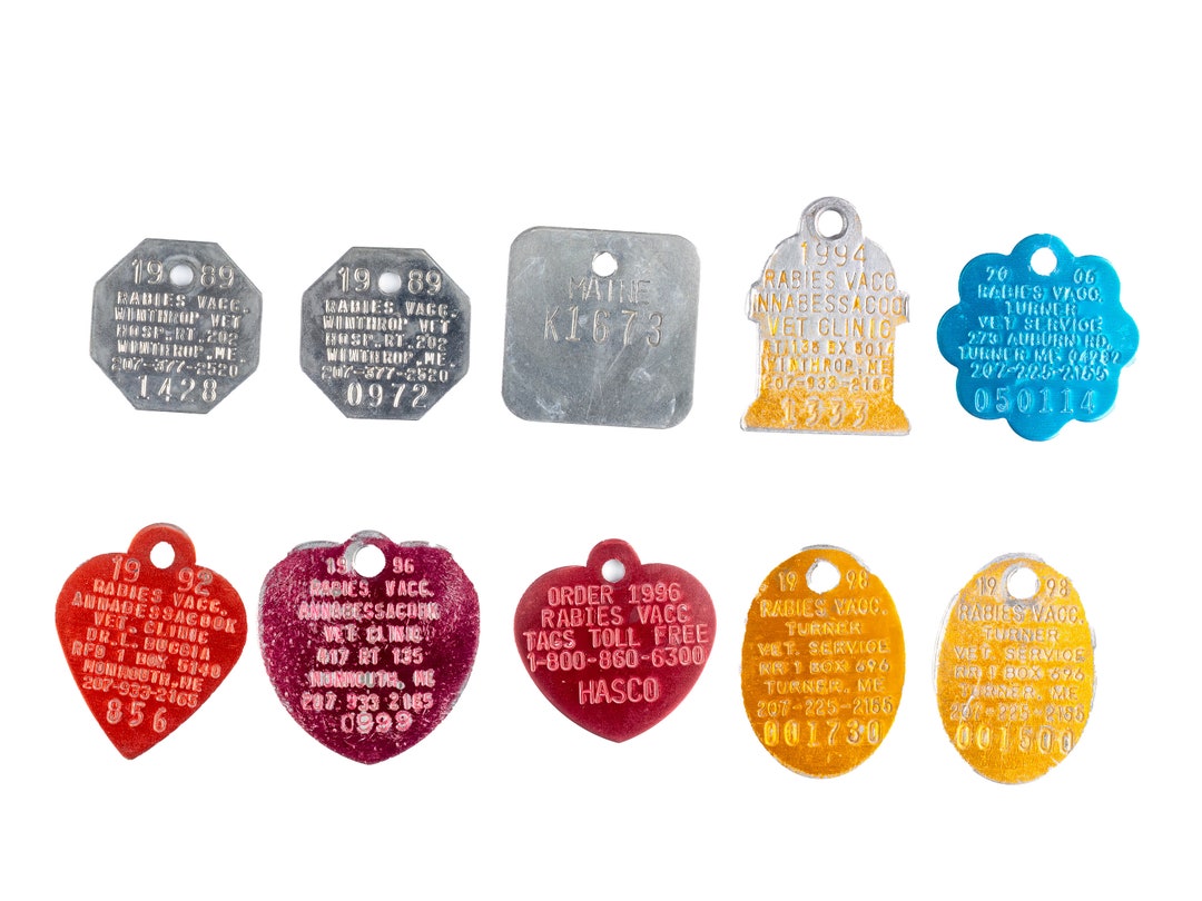 Pet Dog Tags, Vintage Lot of Ten - Etsy