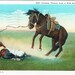Vintage Post Cards: Lot of 5 Cowboy Westerns 1917 1945 - Etsy