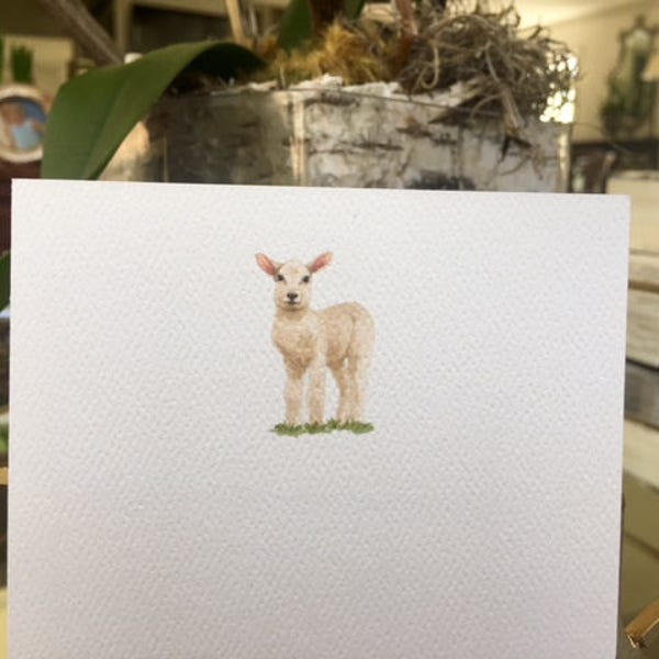 Baby Lamb - Etsy
