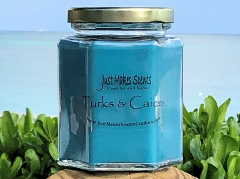 Turks & Caicos Tropical Fruit Scented Candle Pineapple Acai - Etsy