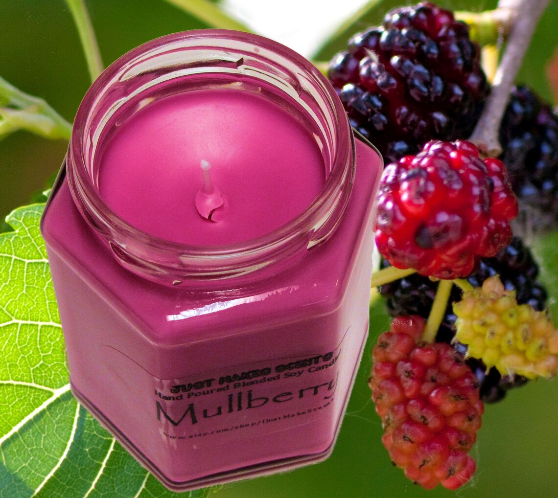 Mulberry Scented Blended Soy Candle - Bold Berry Fragrance - Hand ...