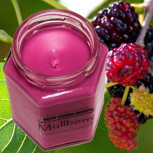 Mulberry Scented Blended Soy Candle - Bold Berry Fragrance - Hand ...