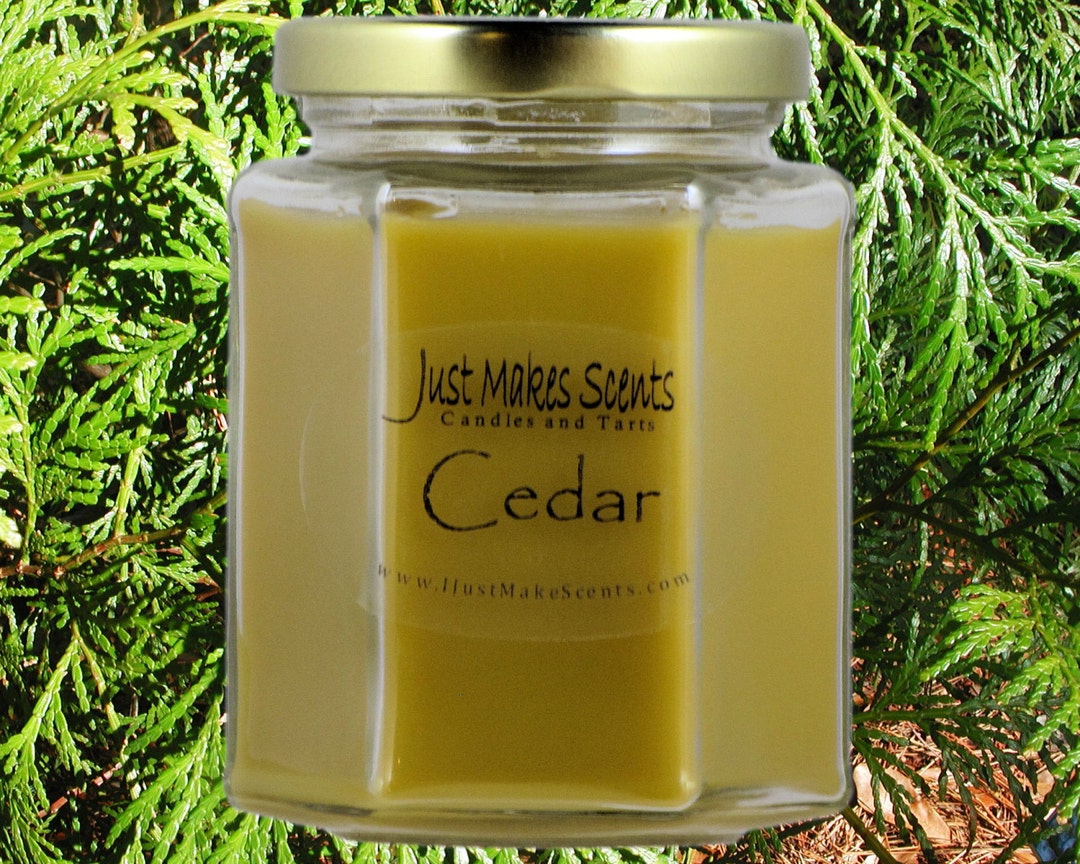 Cedar Scented Blended Soy Candles - Woodsy Masculine Scent - Clean ...