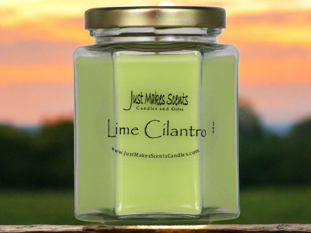 Lime Cilantro Scented Candle - Blended Soy Candles - Etsy