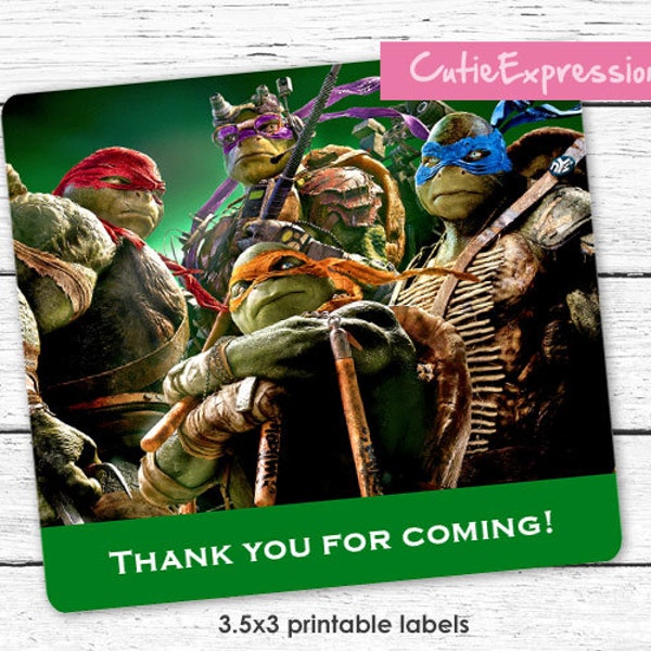 Tmnt Birthday - Etsy