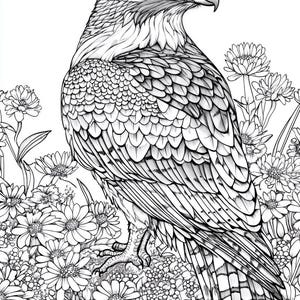Bird Coloring Pages, Avian Illustrations (digital Download) - Etsy